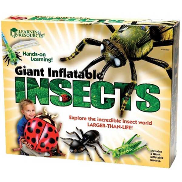 Giant Inflatable Insects - IMS Ltd